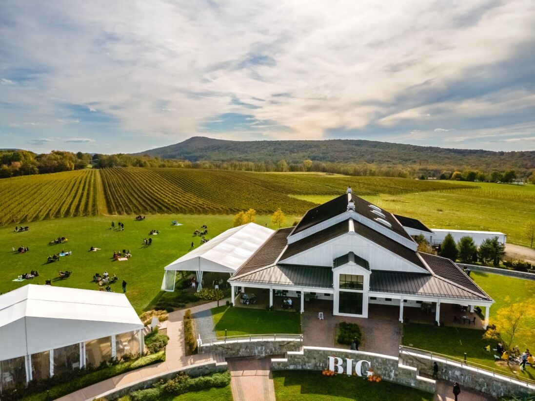 Big Cork Vineyards - Baltimore Style