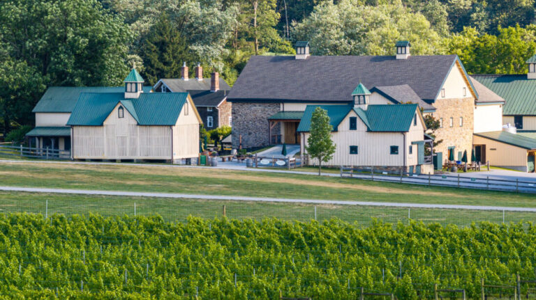 Boordy Vineyards - Baltimore Style